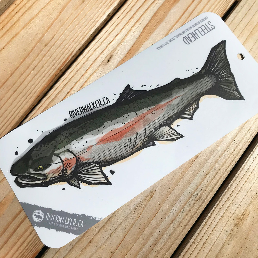 RIVERWALKER - Steelhead Decal - Pacific Rivers Outfitting Company