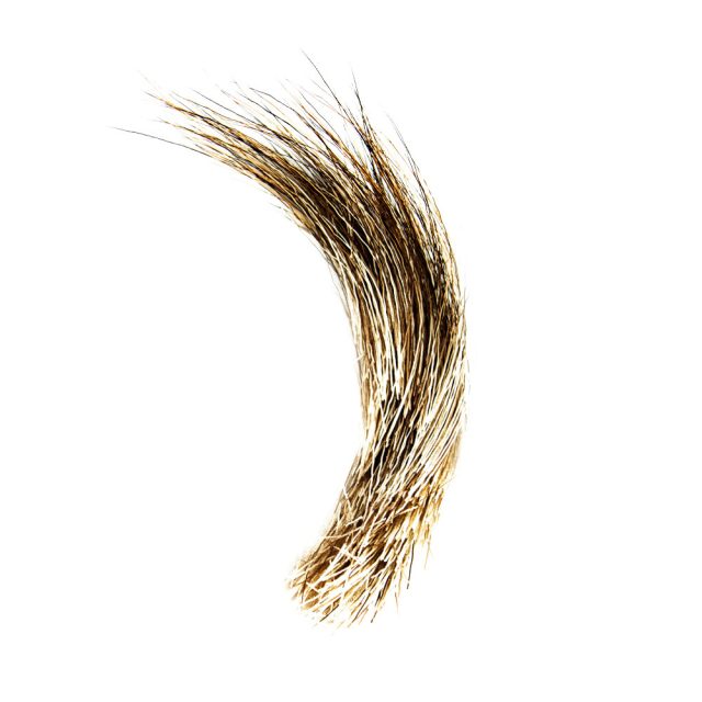 SHOR - Moose Mane - Pacific Rivers Outfitting Company SHOR - Moose Mane - Pacific Rivers Outfitting Company